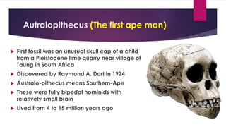 Human evolution | PPTX