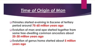 Human evolution | PPTX