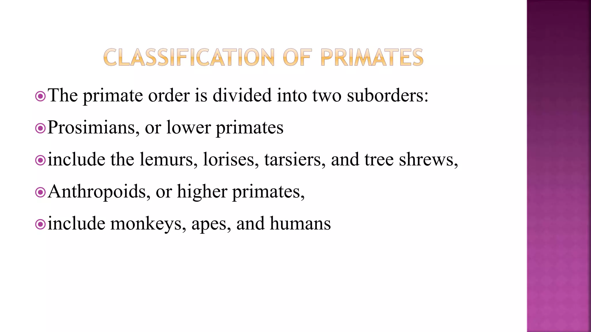 Human evolution | PPTX