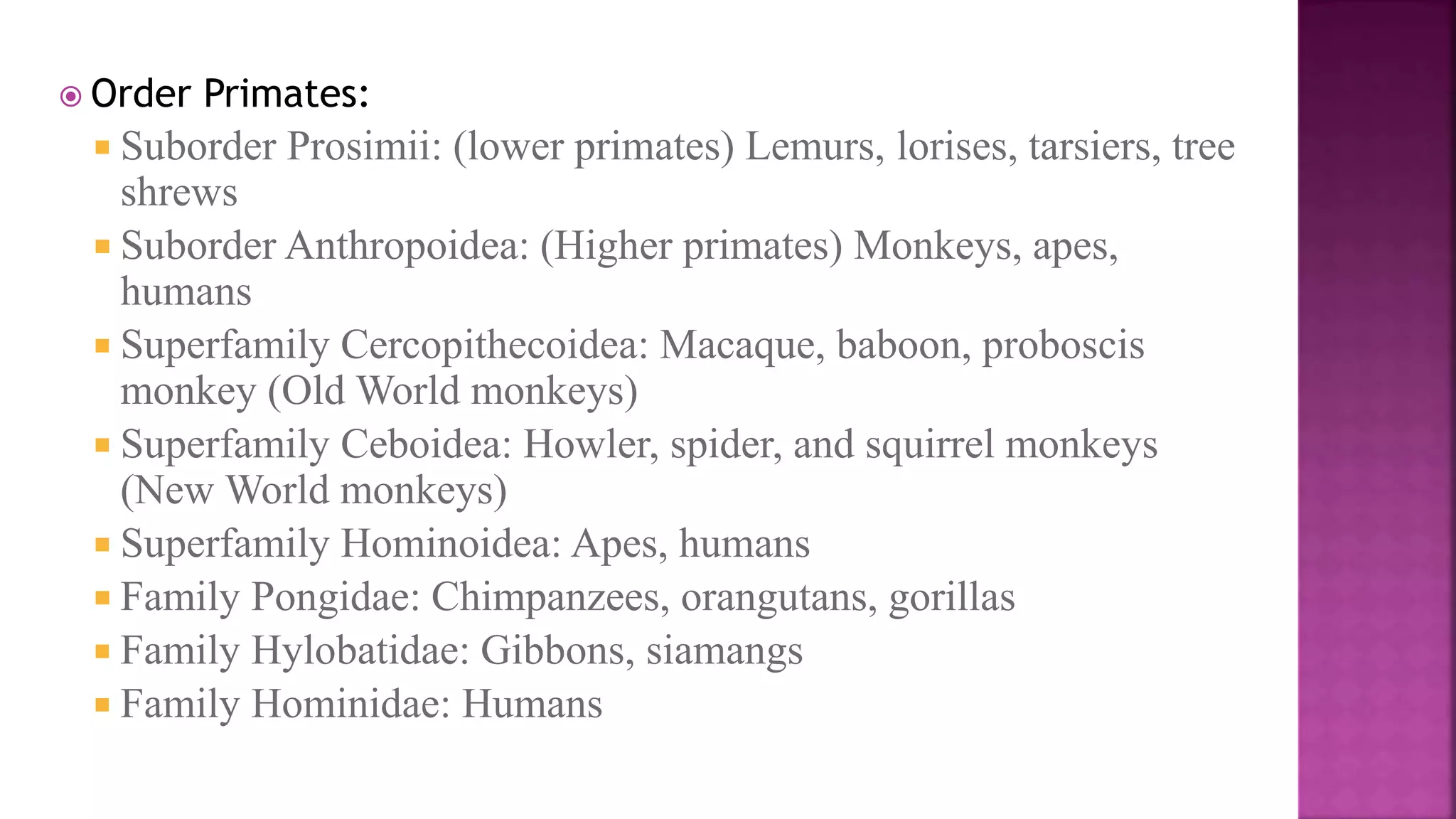 Human evolution | PPTX