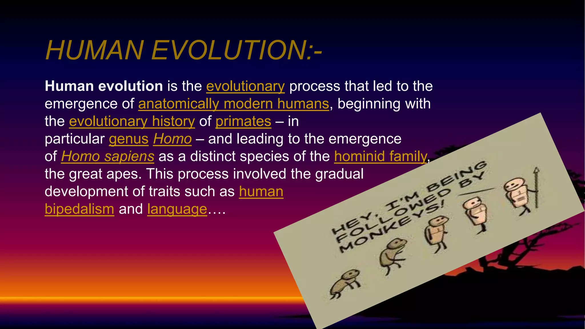 Human evolution (The Great Evolution In The World)...... | PPT