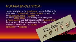 Human evolution (The Great Evolution In The World)...... | PPT