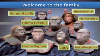 Human evolution (The Great Evolution In The World)...... | PPTX