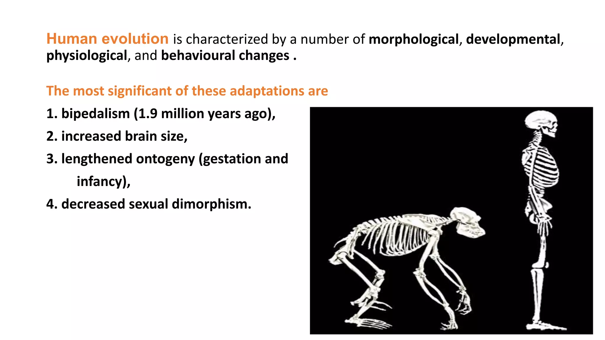 Human evolution | PPTX