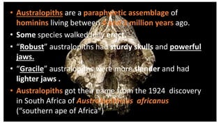 Human evolution | PPTX