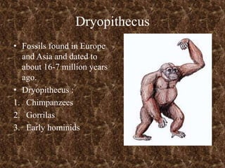 Human evolution | PPTX