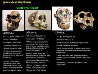 Human evolution | PPT