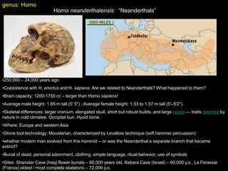 Human evolution | PPT