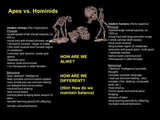 Human evolution | PPT