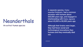 Human evolution | PPTX