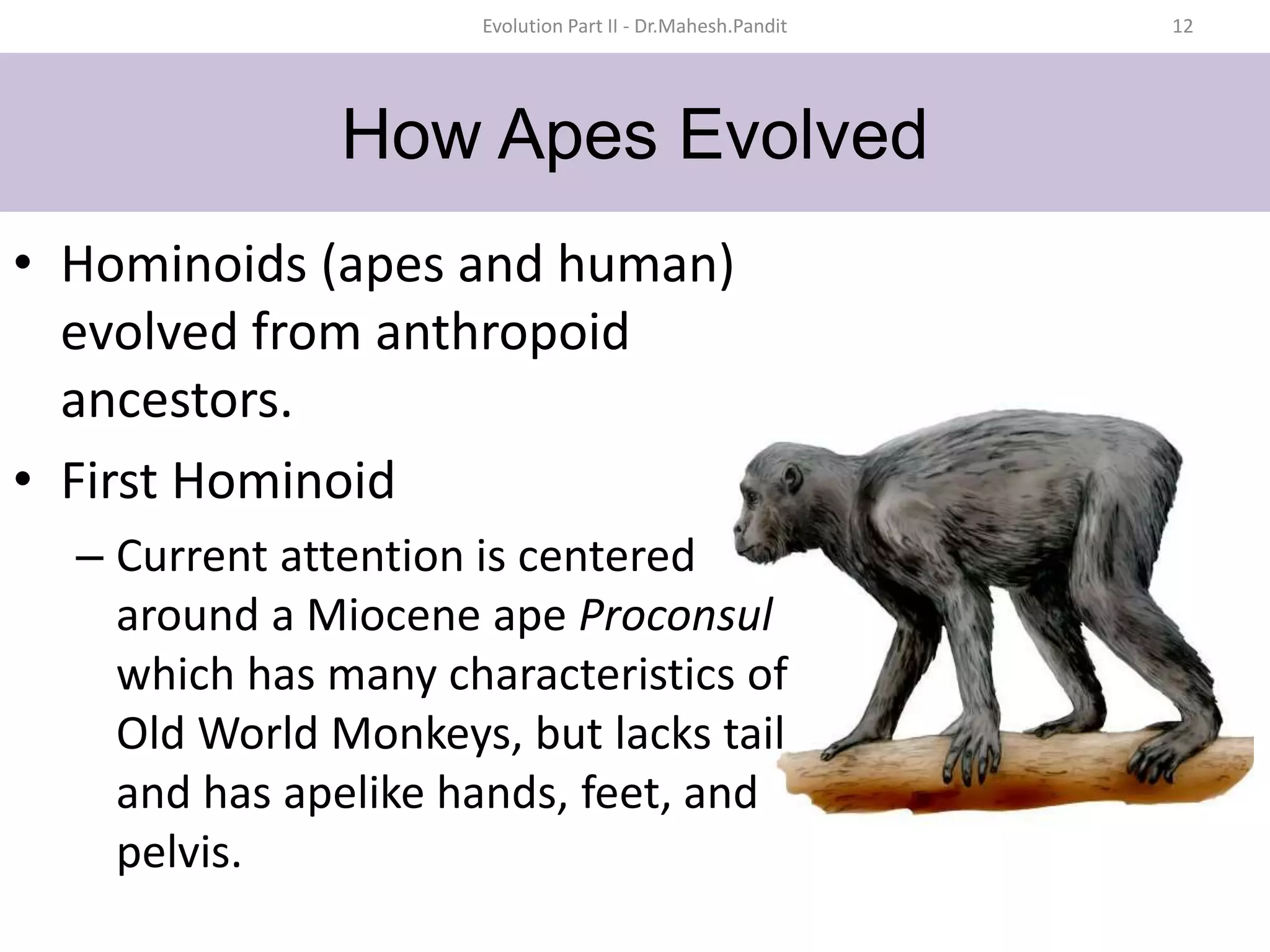 HUMAN EVOLUTION.pptx