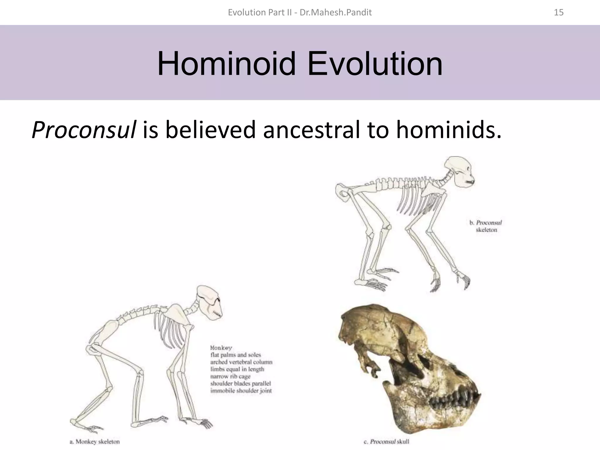 HUMAN EVOLUTION.pptx