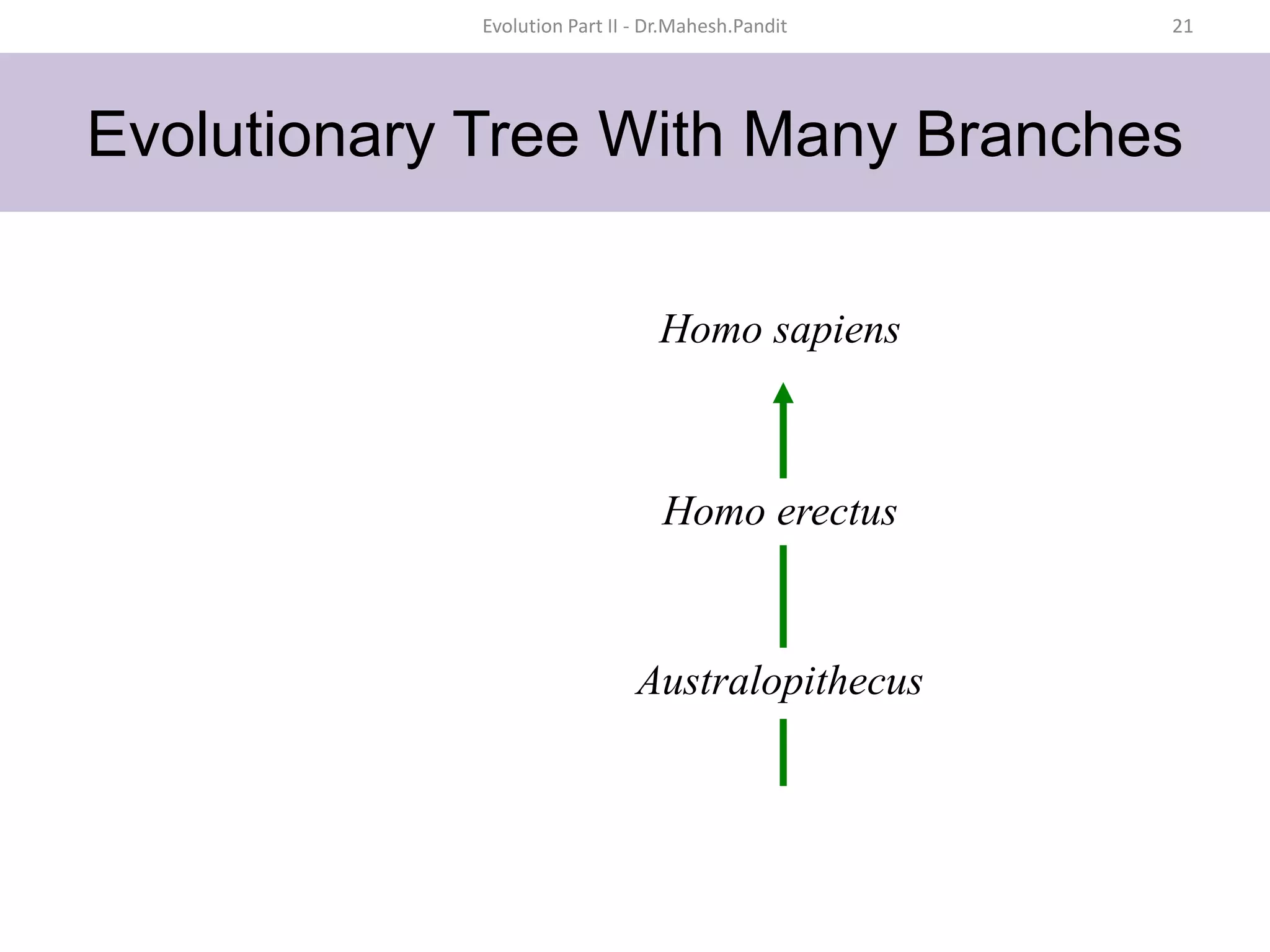 HUMAN EVOLUTION.pptx