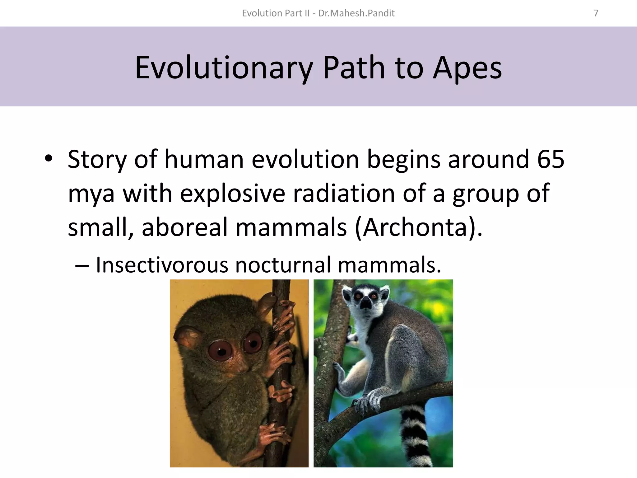 HUMAN EVOLUTION.pptx