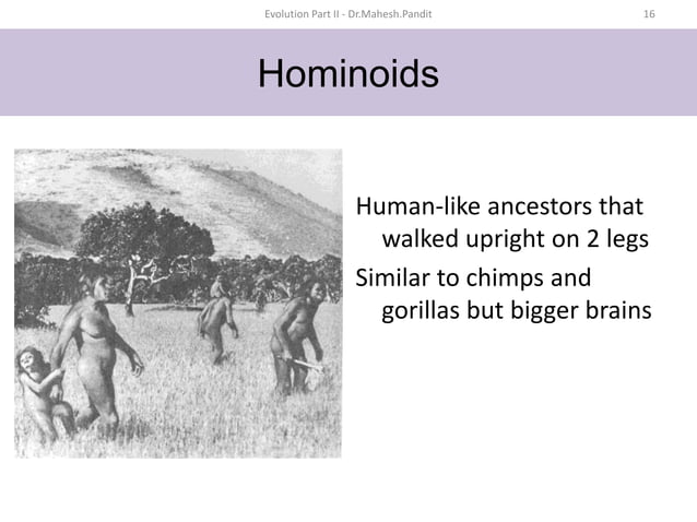 HUMAN EVOLUTION.pptx