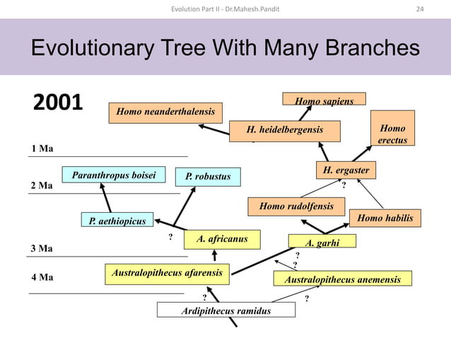 HUMAN EVOLUTION.pptx