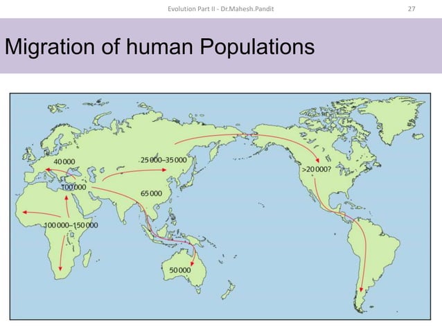 HUMAN EVOLUTION.pptx