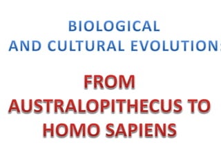 HUMAN EVOLUTION.pptx