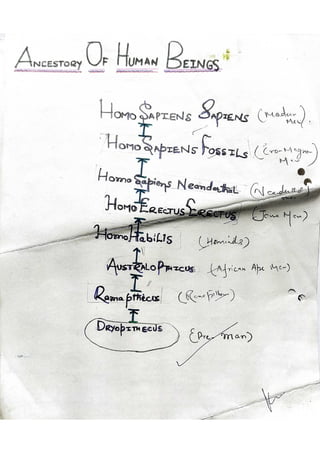 Human Evolution.pdf