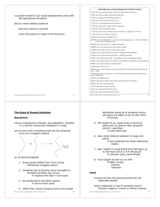 Human Evolution.pdf