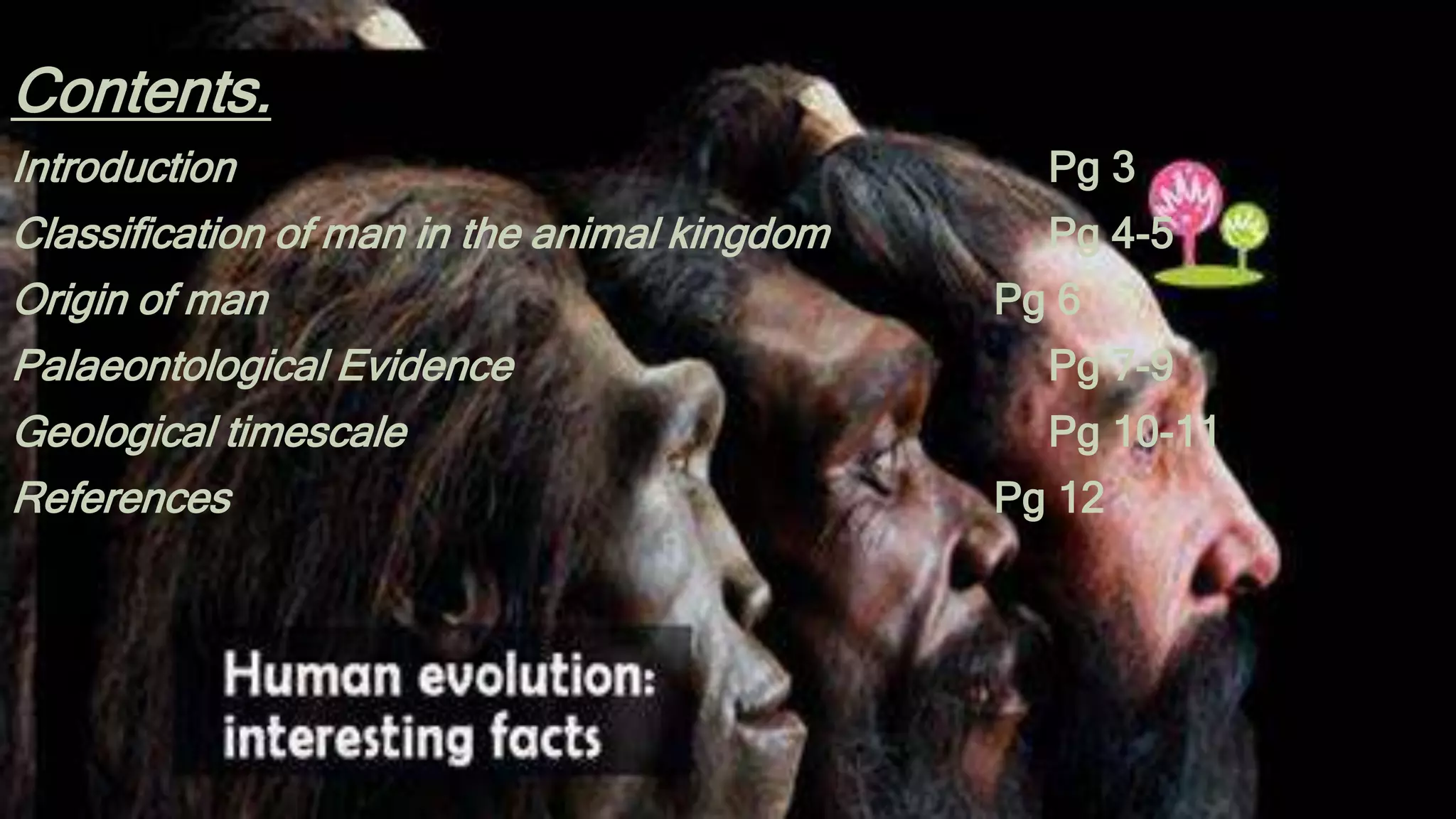 Human Evolution.pptx | Geology | Science