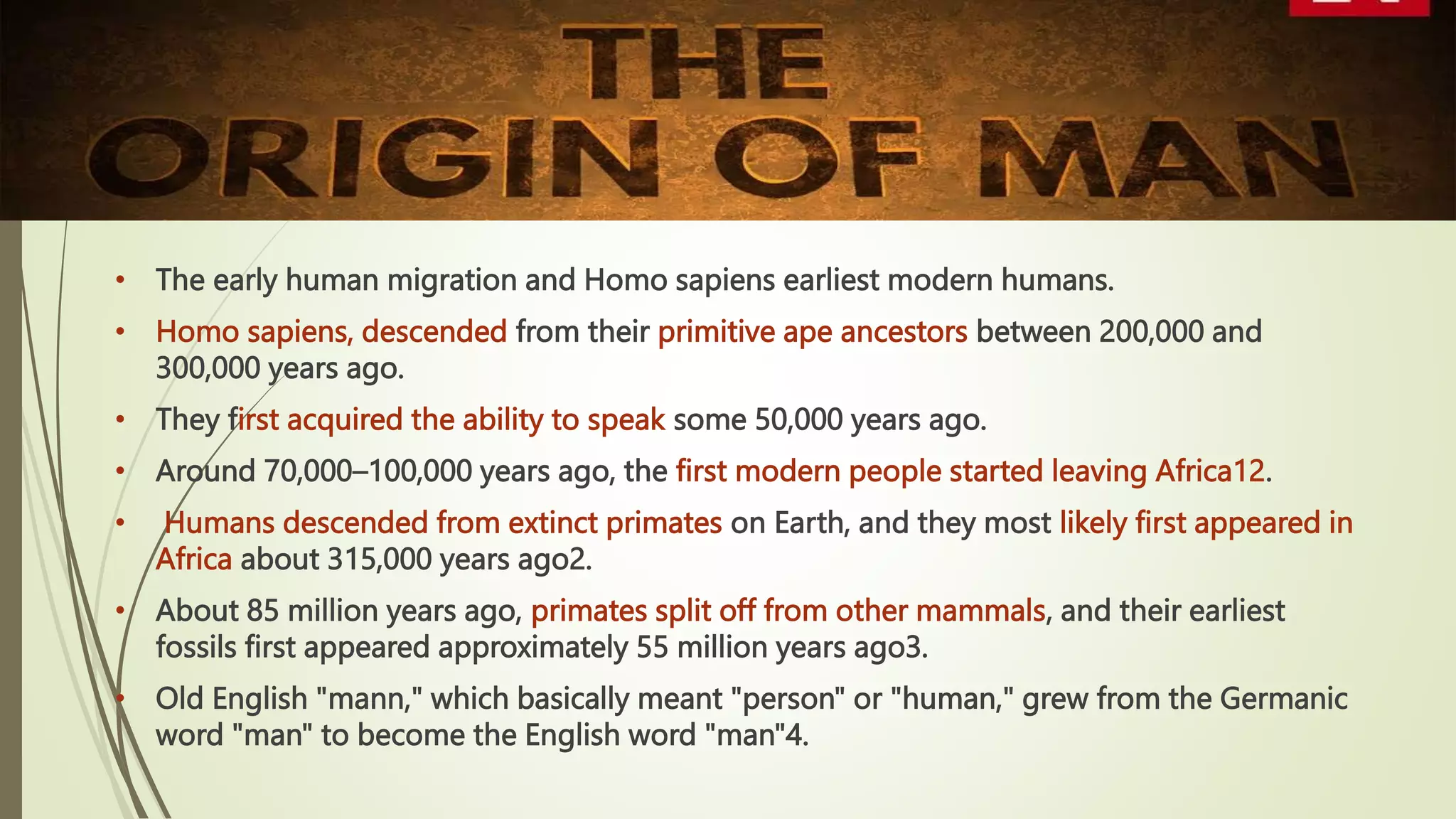 Human Evolution.pptx