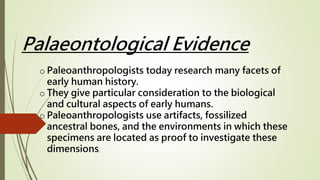 Human Evolution.pptx