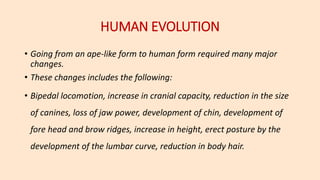 HUMAN EVOLUTION.pptx