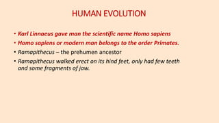 HUMAN EVOLUTION.pptx