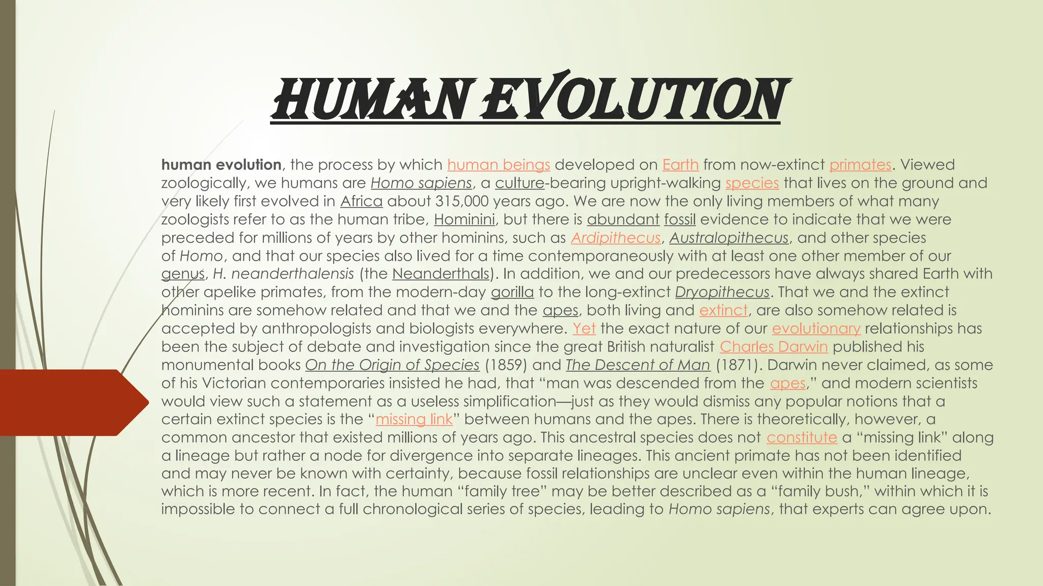 Human evolution with categories and characterstics | PPTX
