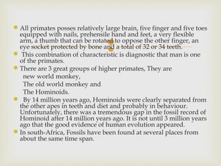 Step to step Evolution of human: Since ages till today | PDF