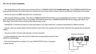 Human Evolution - Dr Ross.pptx Darwin ism concept | PPTX