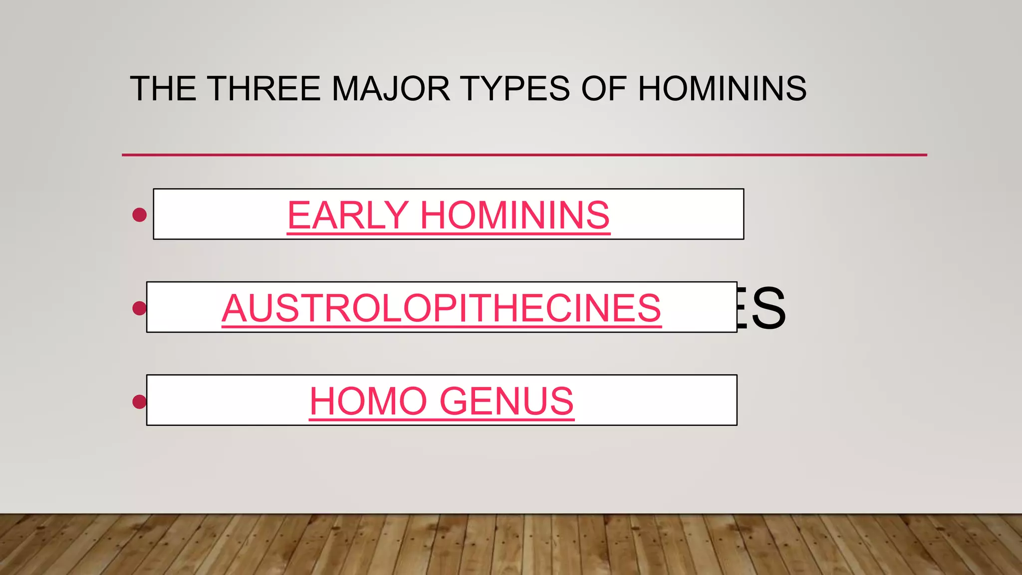 HUMAN EVOLUTION-GROUP OF DIPANIO | PPTX