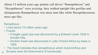 Human Evolution.pptx