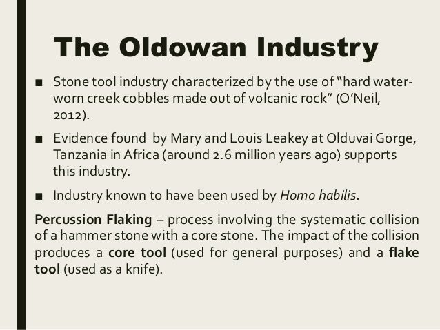 Human evolution and culture