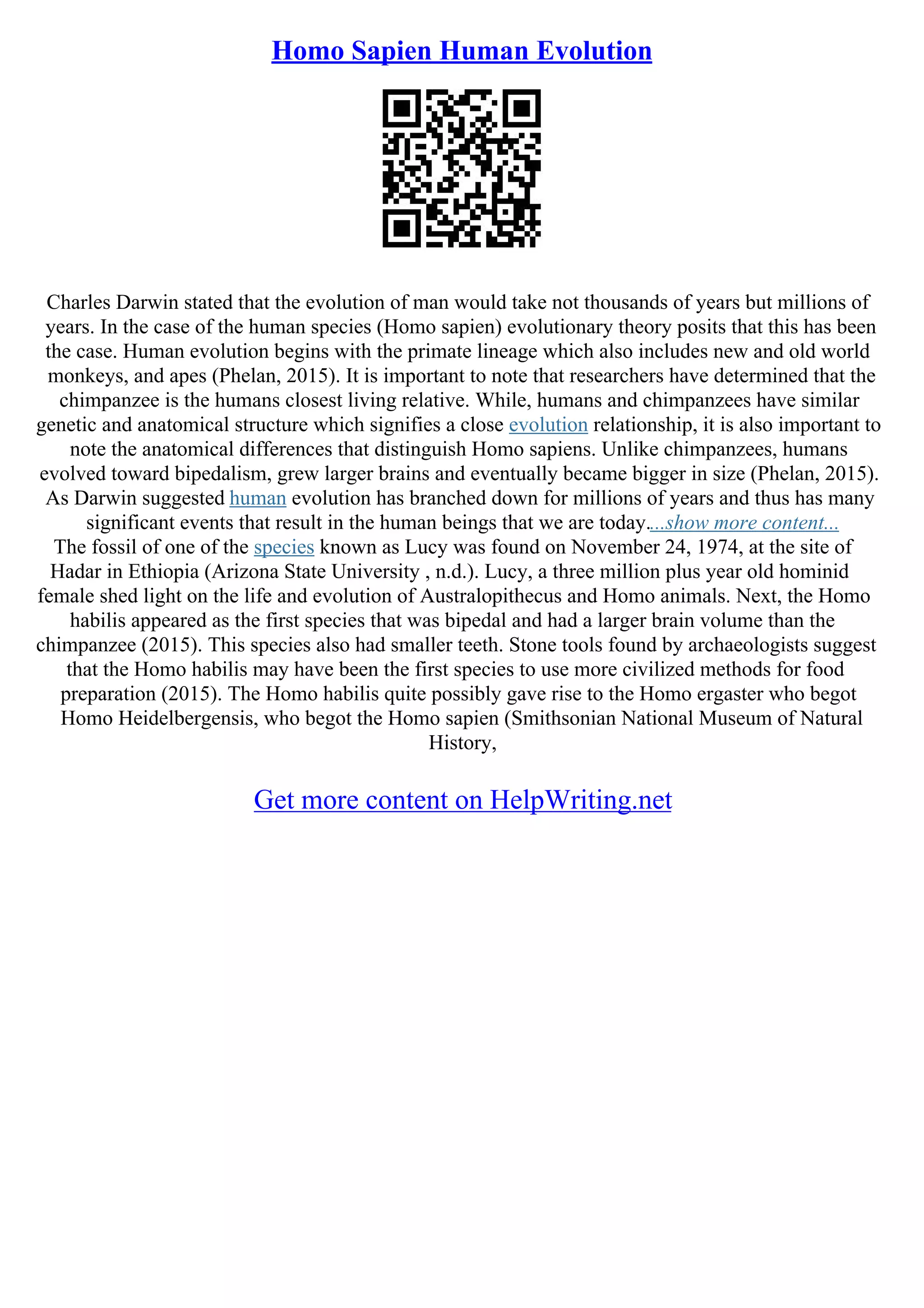 Human Evolution Essay | PDF