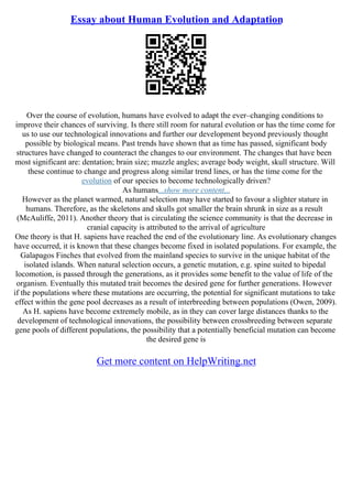 Human Evolution Essay | PDF