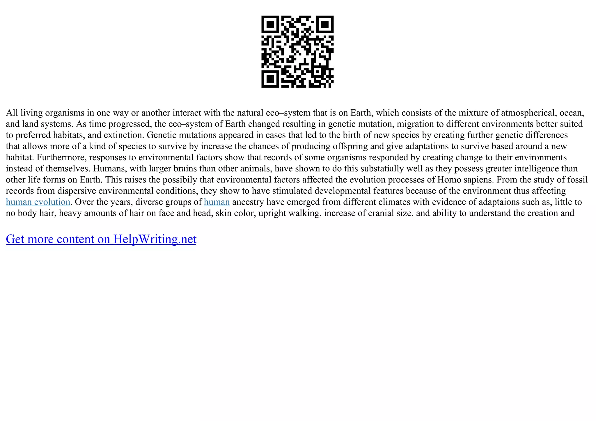 Human Evolution Essay | PPT