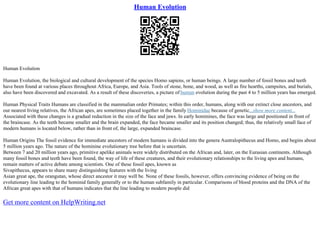 Human Evolution Essay | PPT