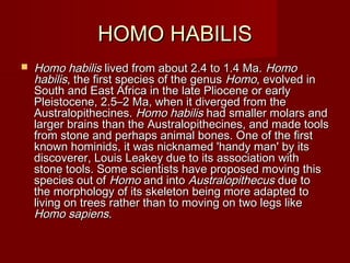 Human evolution javier caro | PPT