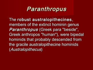 Human evolution javier caro | PPT