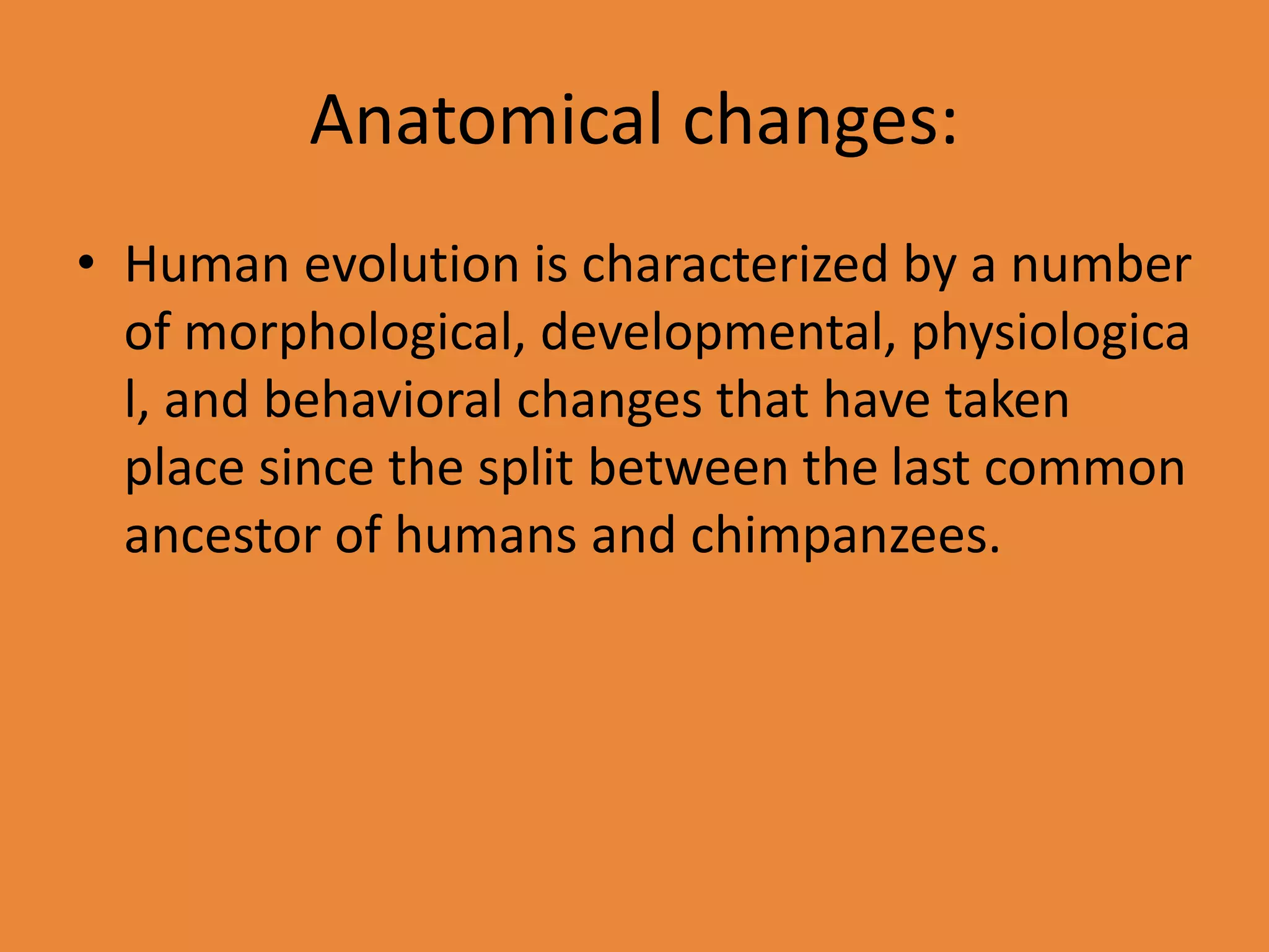 Human evolution | PPT