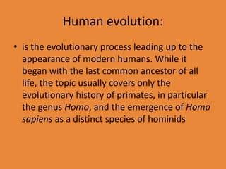 Human evolution | PPT