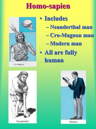 Humanevolution not2 | PDF