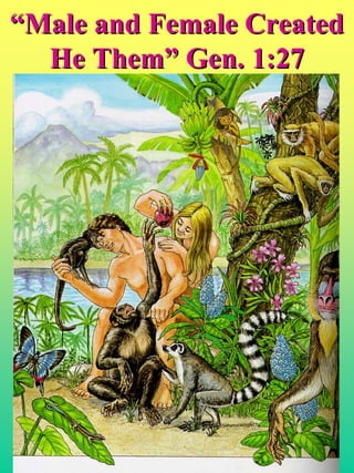 Humanevolution not2 | PDF