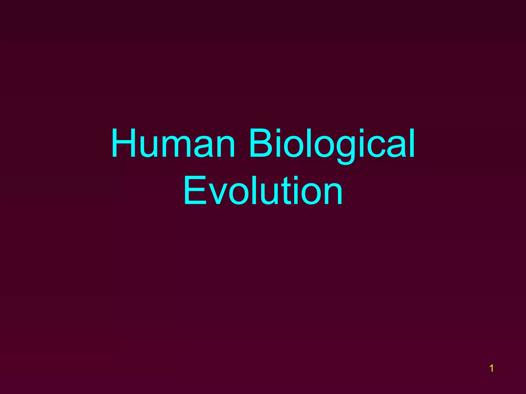 Human evolution notes | PPT