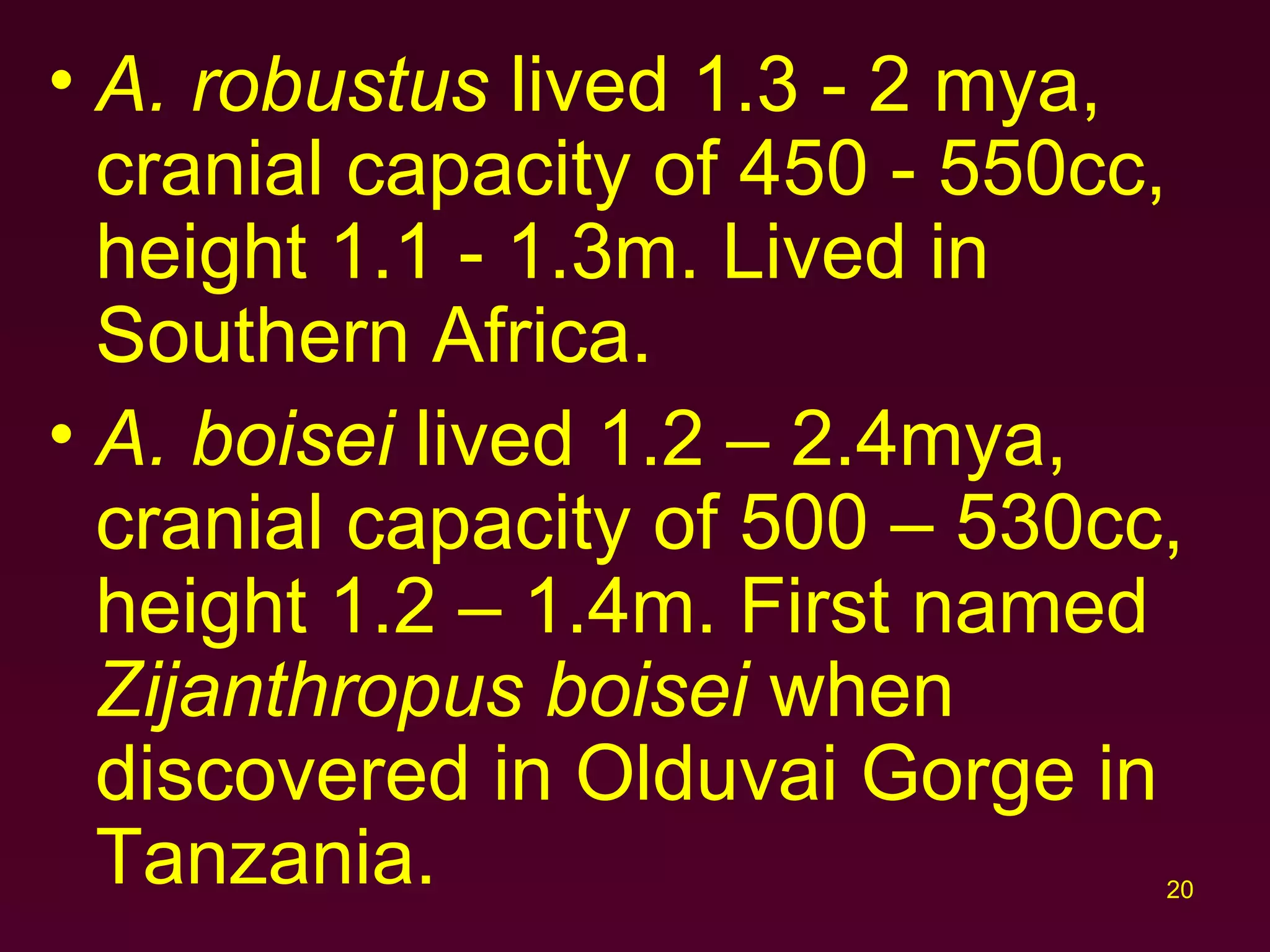 Human evolution notes | PPT