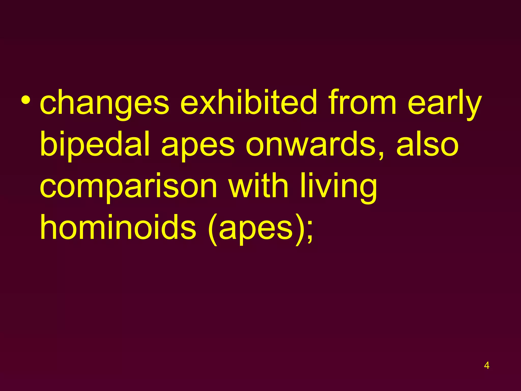 Human evolution notes | PPT