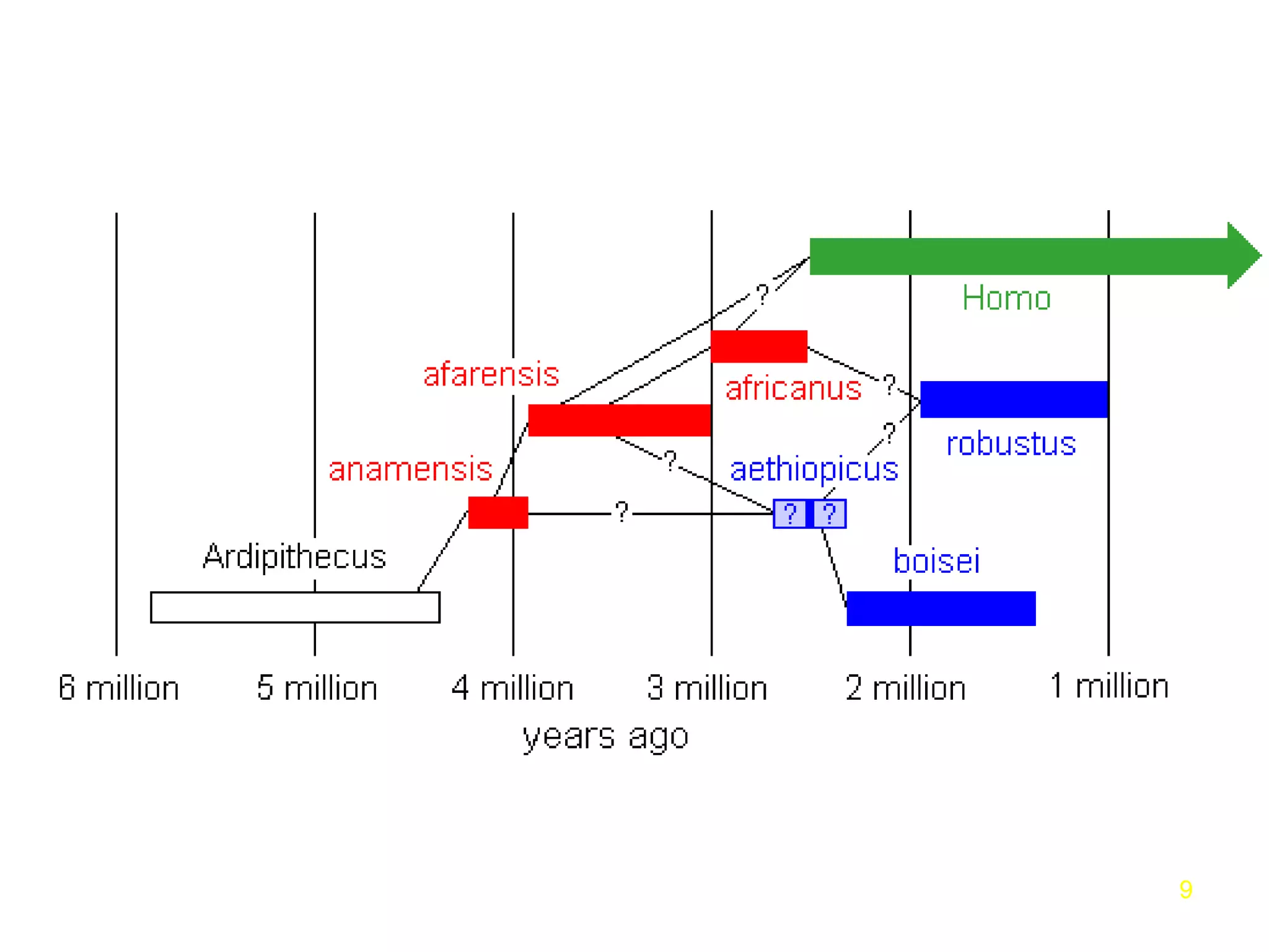 Human evolution notes | PPT