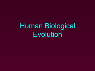 Human evolution notes | PPT